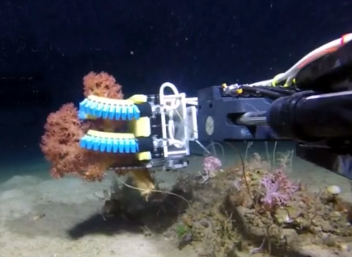 Welcome to NREF | The National Robotics Education Foundation