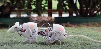 Robot Rats to Inspect Chinese Pipelines | The National Robotics ...