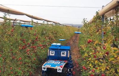 Tevel Robotics Autonomous Drones Pick Fruit Intelligently | The ...