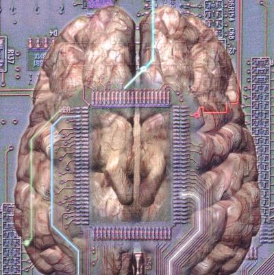 Scientists Model Circuits on the Human Brain in NANO Supercomputer ...